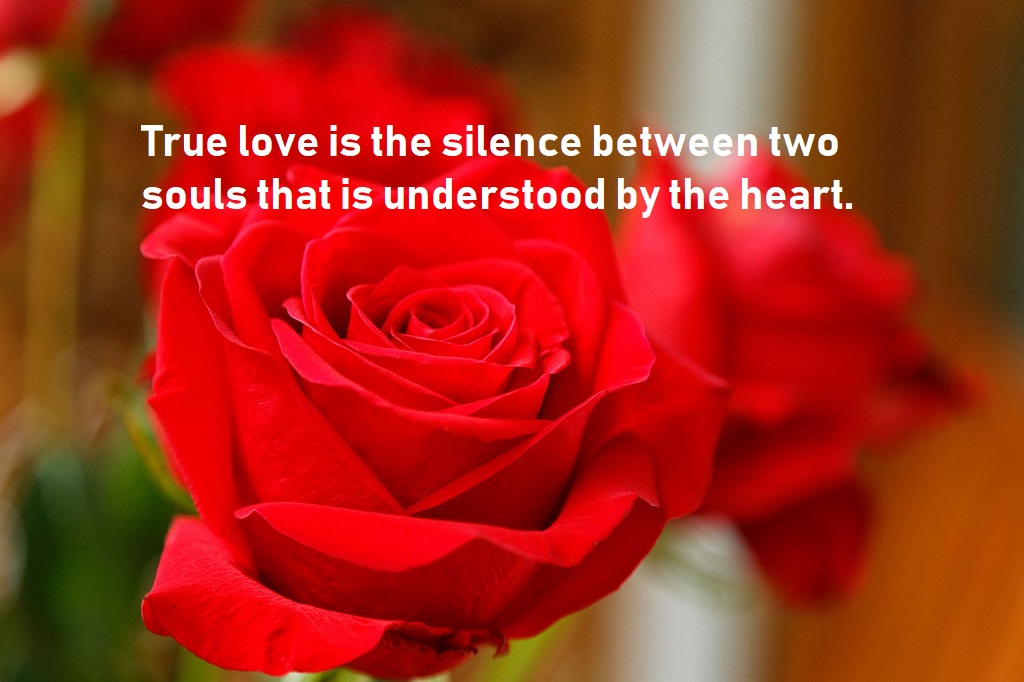 True love quotes to make you believe in the power of love - BestInfoHub